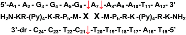 Enthalpy-driven nuclease-like activity and mechanism of peptide ...