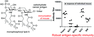 Synthesis and evaluation of monophosphoryl lipid A derivatives as fully ...
