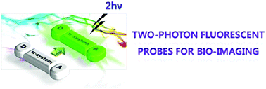 Recent development of two-photon fluorescent probes for bioimaging ...