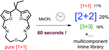 Fast imine equilibration and its consequences for the evaluation of ...
