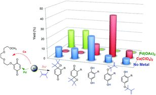 Control of reaction pathways in the photochemical reaction of a quinone ...