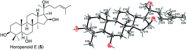 Dammarane-type triterpenoids as 11β-HSD1 inhibitors from Homonoia ...