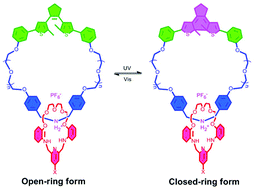 Photo-responsive [2]catenanes: synthesis and properties - Organic ...
