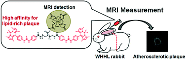 A design strategy for small molecule-based targeted MRI contrast agents ...