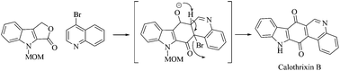 Regiodivergent and short total synthesis of calothrixins - Organic ...