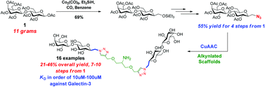 Adaptable synthesis of C-lactosyl glycoclusters and their binding ...
