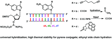 5-Nitroindole oligonucleotides with alkynyl side chains: universal base ...