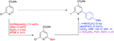 Iridium-catalyzed C–H borylation of pyridines - Organic & Biomolecular ...