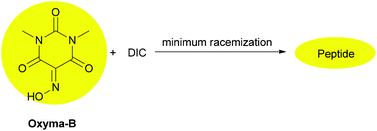 Oxyma-B, an excellent racemization suppressor for peptide synthesis ...