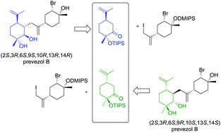 Enantioselective total syntheses of the proposed structures of prevezol ...