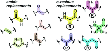 Protein backbone engineering as a strategy to advance foldamers toward ...