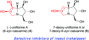 New synthesis and biological evaluation of uniflorine A derivatives ...