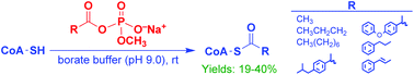 Synthesis of coenzyme A thioesters using methyl acyl phosphates in an ...