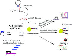 A review: microRNA detection methods - Organic & Biomolecular Chemistry ...