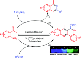 A Sc(OTf)3-catalyzed cascade reaction of o-aminoacetophenone with ...