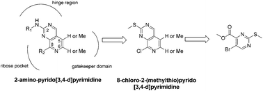 Expanding the scope of fused pyrimidines as kinase inhibitor scaffolds ...