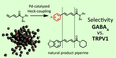 Developing piperine towards TRPV1 and GABAA receptor ligands ...