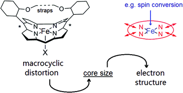 Fractional transfer of a free unpaired electron to overcome energy ...