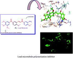 Synthesis of phenstatin/isocombretastatin–chalcone conjugates as potent ...