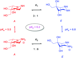 Exploring the relationship between the conformation and pKa: can a pKa ...