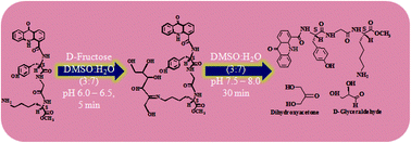 Strategically designed biomodel: engineering C3–C4 cleavage of d ...