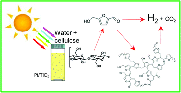 Sunlight-promoted photocatalytic hydrogen gas evolution from water ...