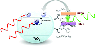 Dye-injected electron trapping in TiO2 determined by broadband ...
