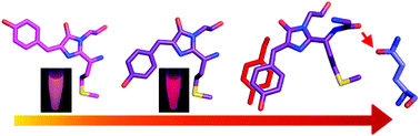 Exploring color tuning strategies in red fluorescent proteins ...