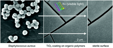 Visible light induced photocatalytic inactivation of bacteria by ...