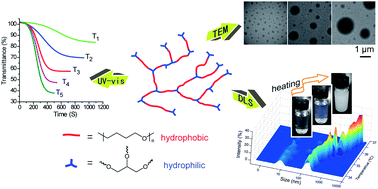 Phase transition dynamics and mechanism for backbone-thermoresponsive ...