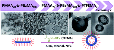 Poly(methacrylic acid)-based AB and ABC block copolymer nano-objects ...