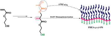 The first amphiphilic graft copolymer bearing a hydrophilic poly(2 ...