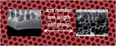 Synthesis of core cross-linked star polystyrene with functional end ...