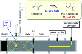 Microwave-assisted solution polycondensation of l-lactic acid using a ...