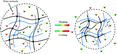 The unusual volume phase transition behavior of the poly(N ...