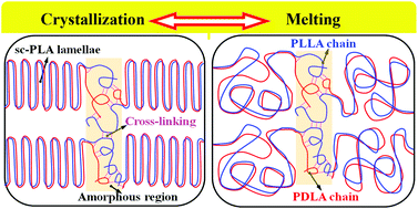 Enhancing the melt stability of polylactide stereocomplexes using a ...