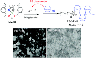 Catalytic synthesis of polyethylene-block-polynorbornene copolymers ...