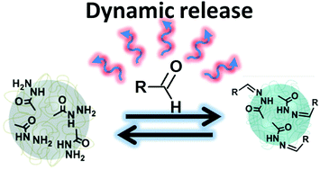 Dynamic uptake and release from poly(methacryloyl hydrazide) microgel ...