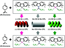 Limonene induced chiroptical generation and inversion during ...