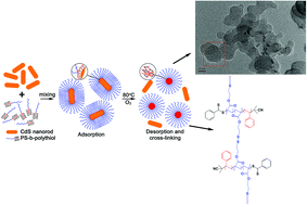 CdS nanorods assisted thermal oxidation of polythiol segments of PS-b ...