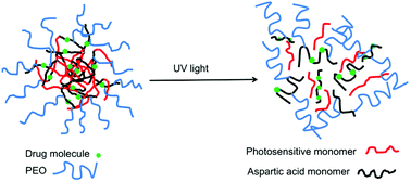 Photodegradable poly(ester amide)s for indirect light-triggered release ...