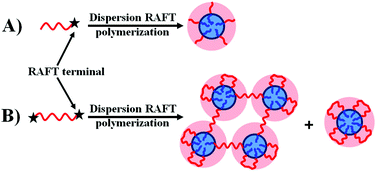 Dispersion RAFT polymerization: comparison between the monofunctional ...