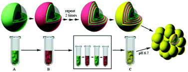 A 3-D multicellular tumor spheroid on ultrathin matrix coated single ...