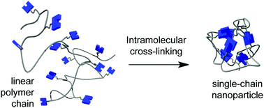 A brief user's guide to single-chain nanoparticles - Polymer Chemistry ...