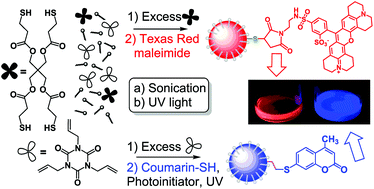Functional, sub-100 nm polymer nanoparticles via thiol–ene miniemulsion ...