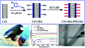 Surface modification of carbon nanotubes by combination of mussel ...