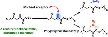 Poly(alkylene itaconate)s – an interesting class of polyesters with ...