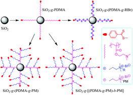 Facile synthesis of silica nanoparticles grafted with quaternized ...