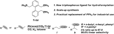 Synthesis and application of a new triphosphorus ligand for ...