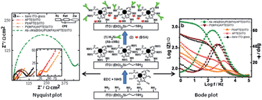 Bio-functionalized Pt nanoparticles based electrochemical impedance ...